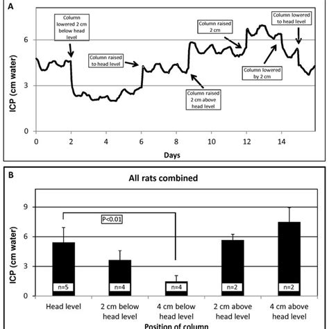 A Representative Icp Graph Annotated With Boxes And Arrows To Mark The