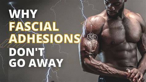 Why Fascial Adhesions Dont Go Away Hyperarch Fascia Training Go It