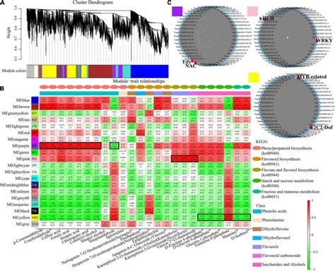 Integrated Metabolomics And Transcriptome Analyses Unveil Pathways