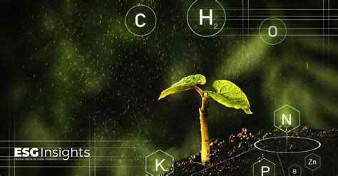 Mercado de hidrogênio verde deve atingir US 60 bilhões até 2030