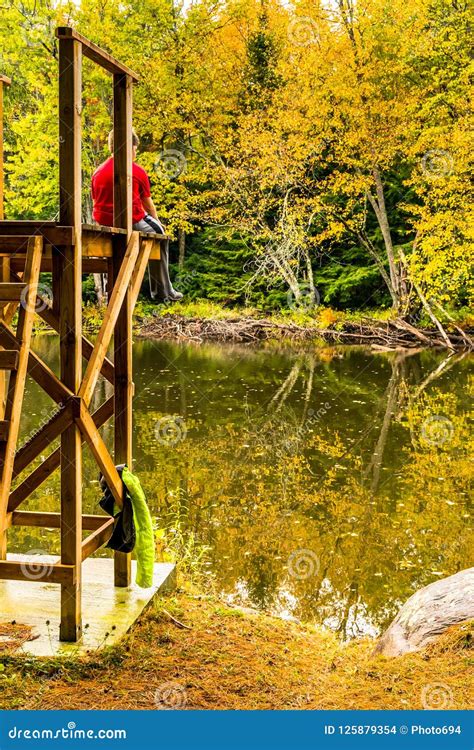 Back View Of Unidentifiable Boy Sitting On A Diving Platform At