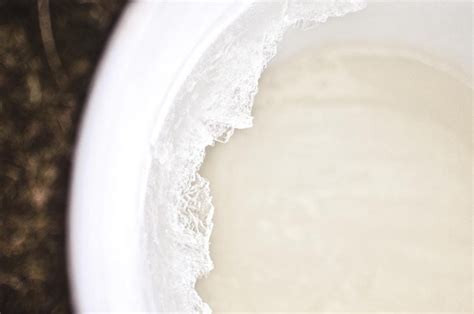 How To Tap Your Own Maple Trees To Make Maple Syrup The View From Great Island