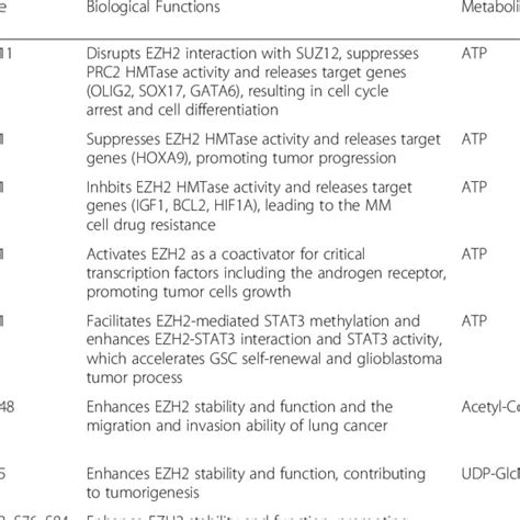 Ezh2 Lat1 Positive Feedback Loop Promotes The Generation Of Sam Ezh2