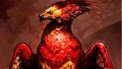 Griffin Harry Potter Name
