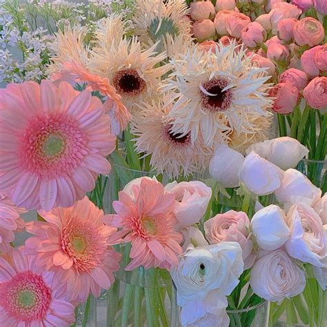 𝓁𝒾𝓁𝓎 Flower aesthetic Beautiful flowers Pretty flowers