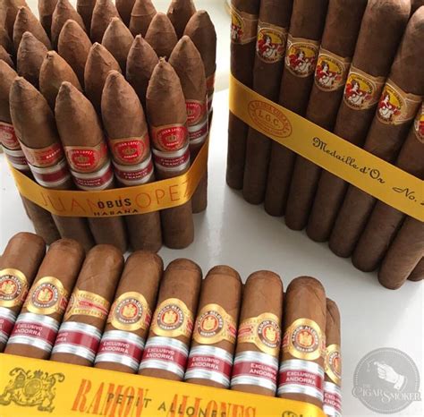 Pin On Cigare