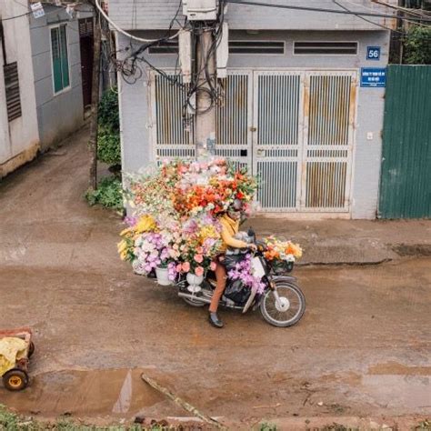 Theextroverts Nothing But Flowers Beautiful Art Flowers
