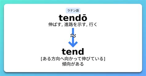 tend 語源とコアイメージと覚え方 意味上位語下位語 イメージ英単語