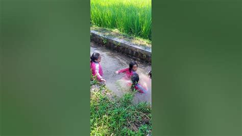 Mandi Dikali Sepulang Sekolah Bersama Teman Tk Youtube