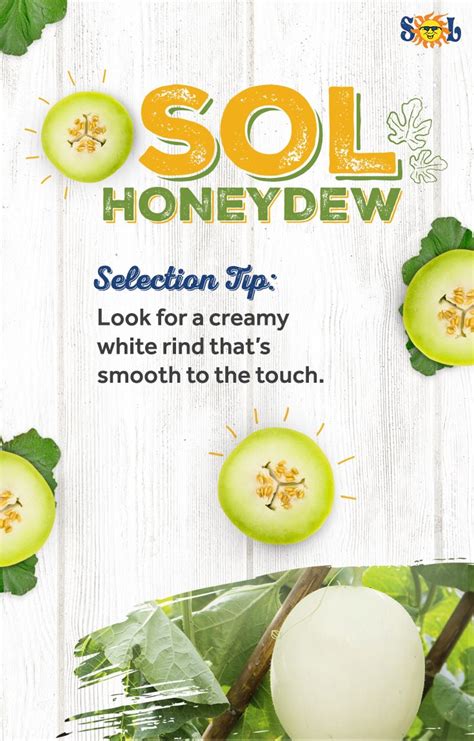 Next Time You Head To The Store Pick Up The Perfect Honeydew Melon For