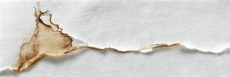 Unique Burn Mark Resembling Human Profile On White Fabric Creates A