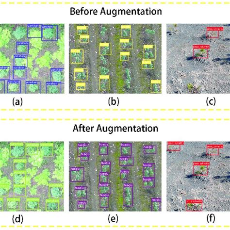 Examples Of The Data Augmentation Dataset Download Scientific Diagram