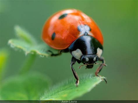 Maison du Parc Naturel régional du Vexin français