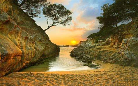 Papel De Parede Luz Solar Árvores Panorama Pôr Do Sol Mar Baía
