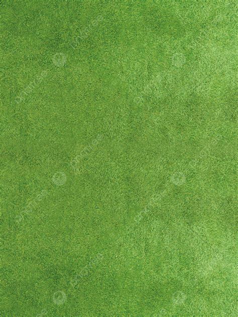 Fifa Grass Texture
