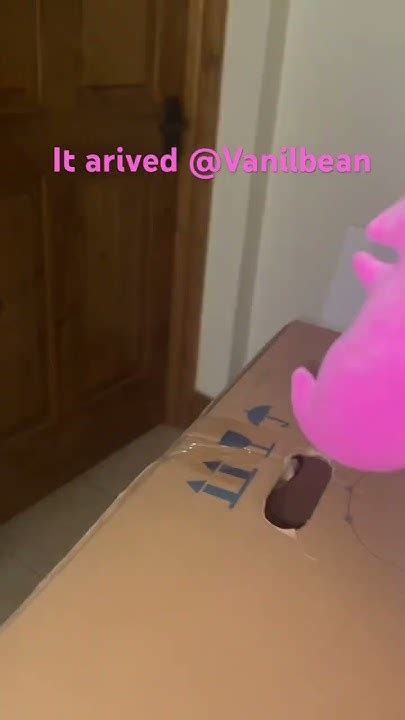 Vanilbean Plush Vanilbean Pinkminkkk Kreativekyle Chocolate