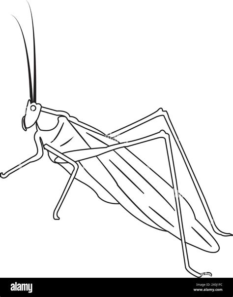 Grasshopper Icon Vector Illustration Simple Design Stock Vector Image