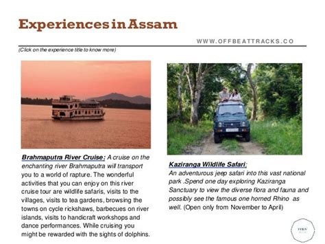 Assam Travel Guide