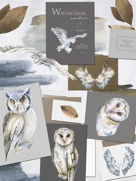 Winter Owl Watercolor Collection By 60seconds Thehungryjpeg