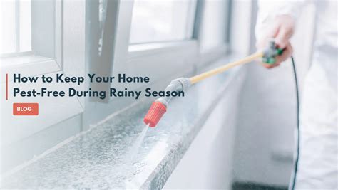 How to Keep Your Home Pest-Free During Rainy Season | Blog