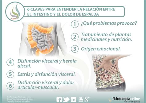 6 claves para entender la relación entre el intestino y el dolor de