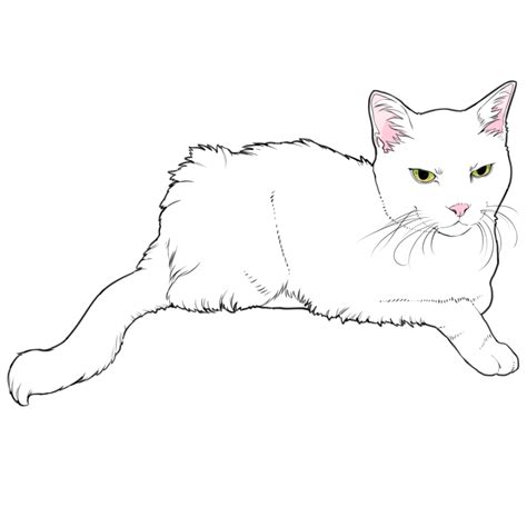 らくがき500枚チャレンジ（213枚目 うちの猫写真トレス） Q