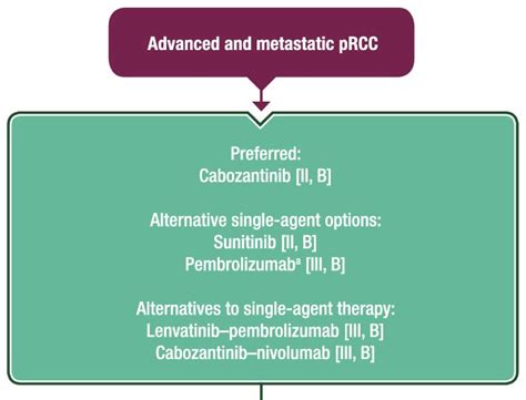 Esmo 2024 Non Clear Cell Rcc