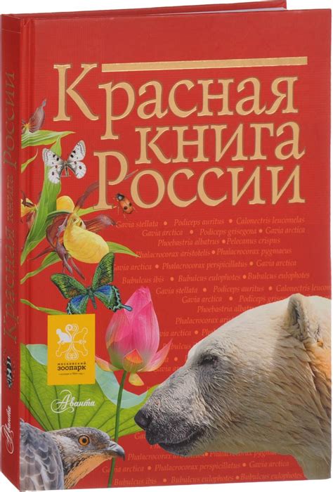 Серые страницы красной книги россии животные фото и описание