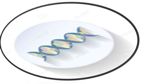 Biometrics Forensics Blog