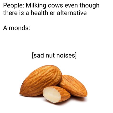 Sad Nut Noises Rmemes