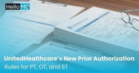 99204 Cpt Code Complete Guide For Billing And Documentation