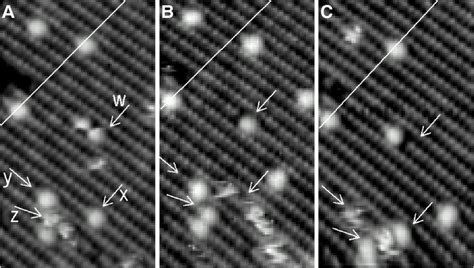 Dangling Bond Dynamics On The Silicon 100 2×1 Surface Dissociation Diffusion And