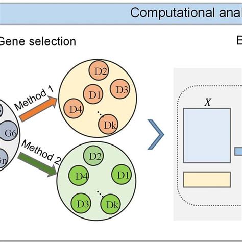 Computational Analysis Commonly Used In Cancer Research On Genomics Ai