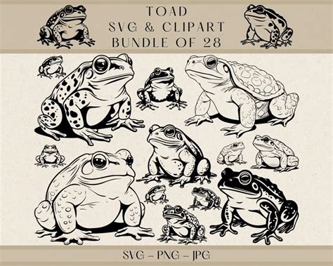 Toad Svg Toad Clipart Toad Png Toad Vector Toad Silhouette Frog