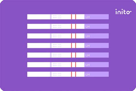 Positive Ovulation Test 7 Days In A Row What Should I Do