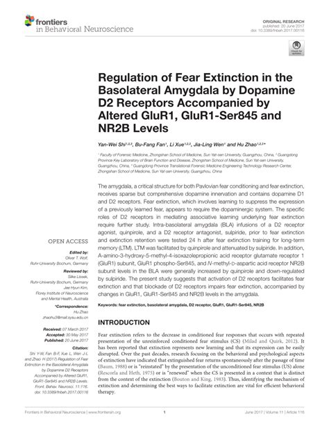 Pdf Regulation Of Fear Extinction In The Basolateral Amygdala By