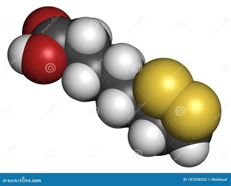 Mitochondria Have An Inner And Outer Membrane With An Intermembrane Space Between Them Stock