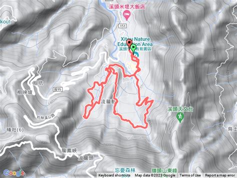 1120223溪頭大學池坑觀景步道草坪區神木林道O型 健行筆記