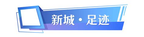 星辰专题 强省会新金霞