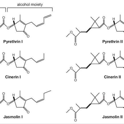 Molecular Structures Of The Six Natural Pyrethrins From Soderlund Et
