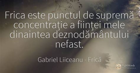 Frica este punctul de supremă concentrație a ființei mele Citat de Gabriel Liiceanu