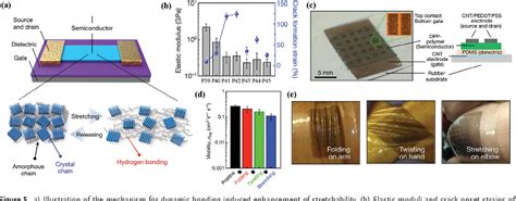 Figure 5 From Intrinsically Stretchable And Healable Polymer