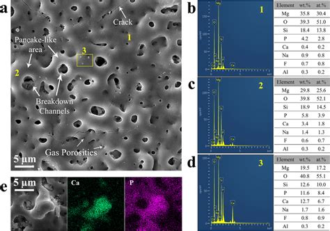 Higher Magnification Fesem Micrograph Of Sample 75 S Surface Morphology