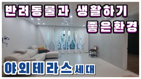 반려동물들과생활하기환경이좋은빌라일산옆동네야당역세권야당상업지구대형쇼핑몰입점예정서울문산고속도로 제2자유로운정 호수공원