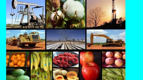 40 Ejemplos De Sector Primario Secundario Terciario C