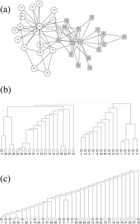 Community Structure In Social And Biological Networks Pnas