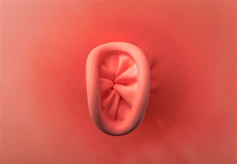 Las 5 Enfermedades Del Sexo Anal Martha Debayle