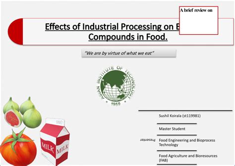 Pdf Effect Of Industrial Processing In Bioactive Components In Food