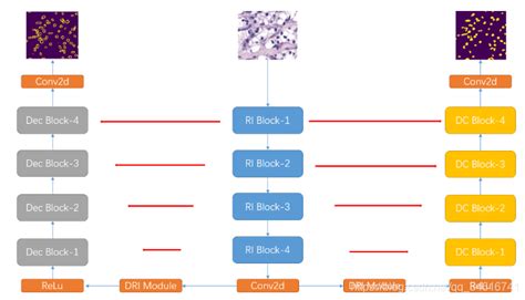 深度学习（u Net）在细胞核分割中的应用病理切片200倍和400倍区别 Csdn博客