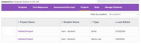 How Do I Assign Students Open Ended Projects